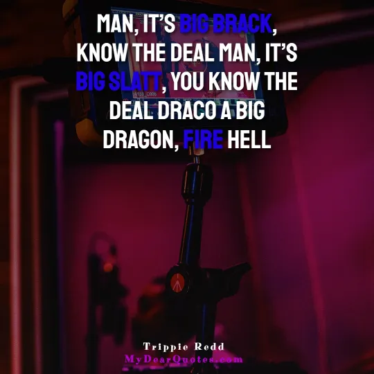 40+ GANGSTA TRIPPIE REDD QUOTES